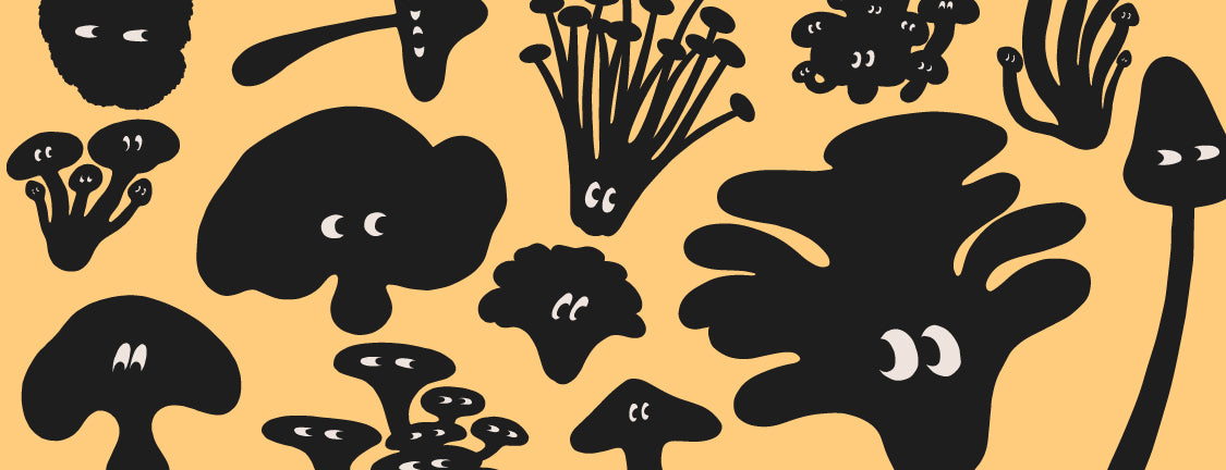 Products – Mushroom Compadres