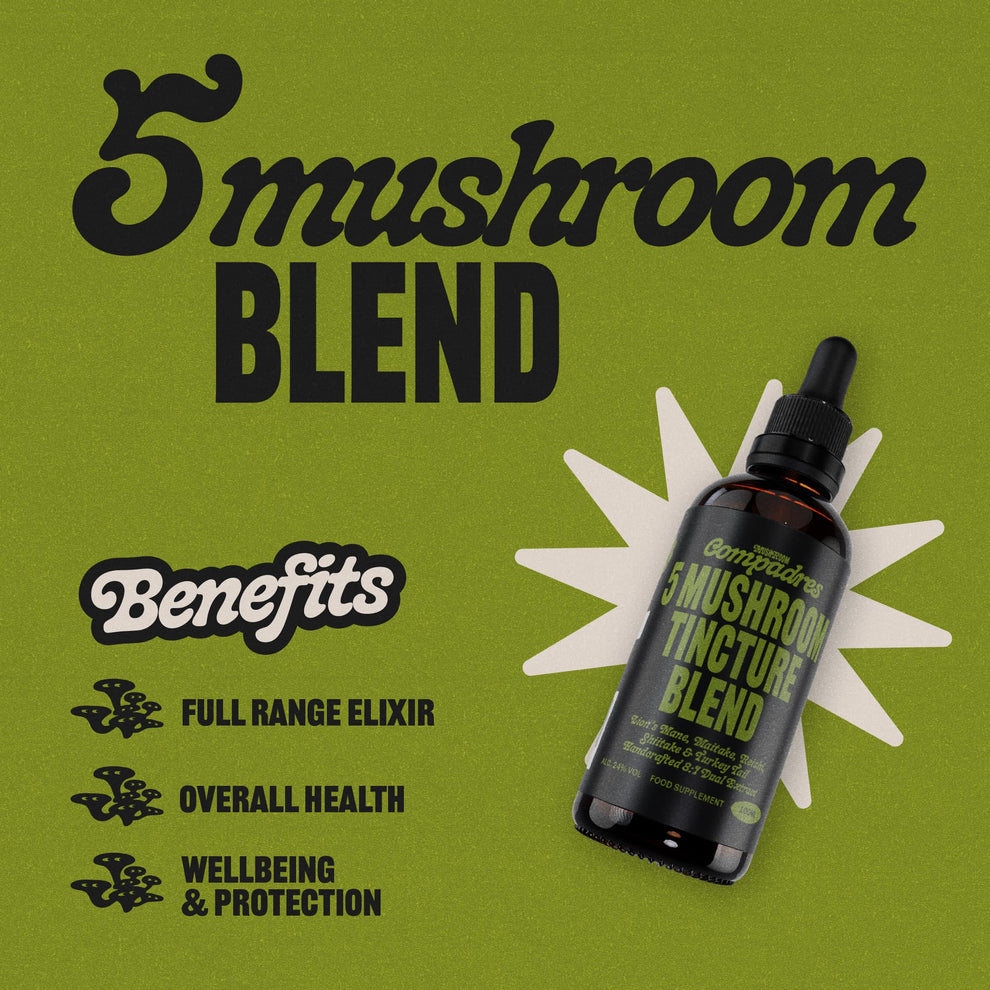 5 Mushroom Blend Tincture - Lion's Mane, Reishi, Chaga – Mushroom Compadres