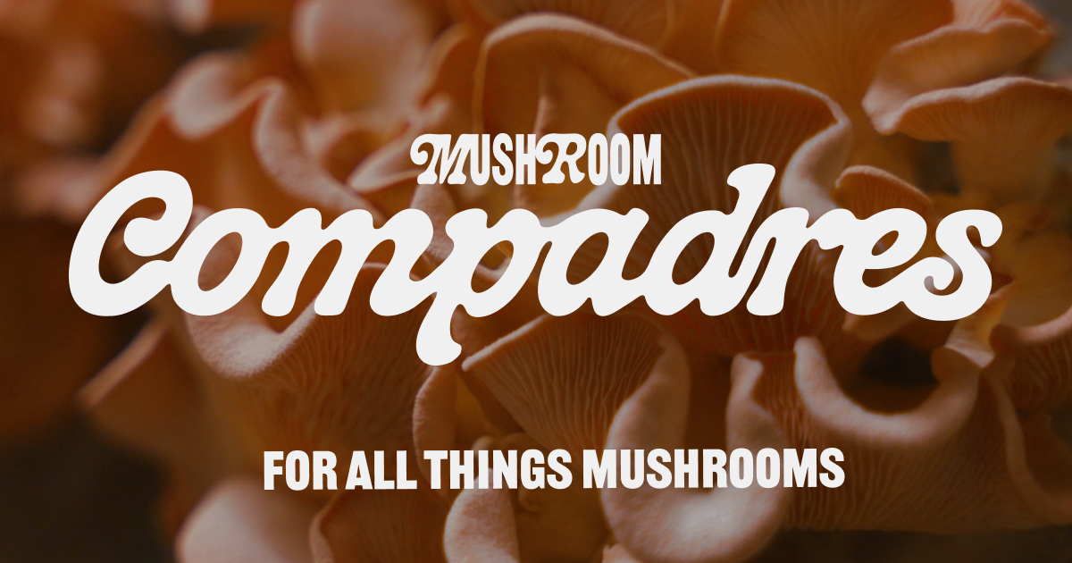 Products – Mushroom Compadres